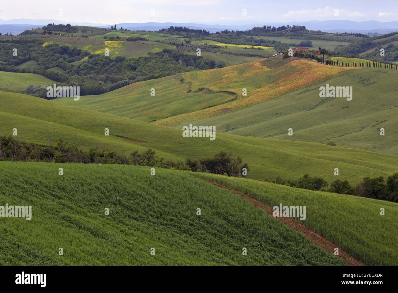 Tuscany background, farmland hill fields in Italy Stock Photo - Alamy