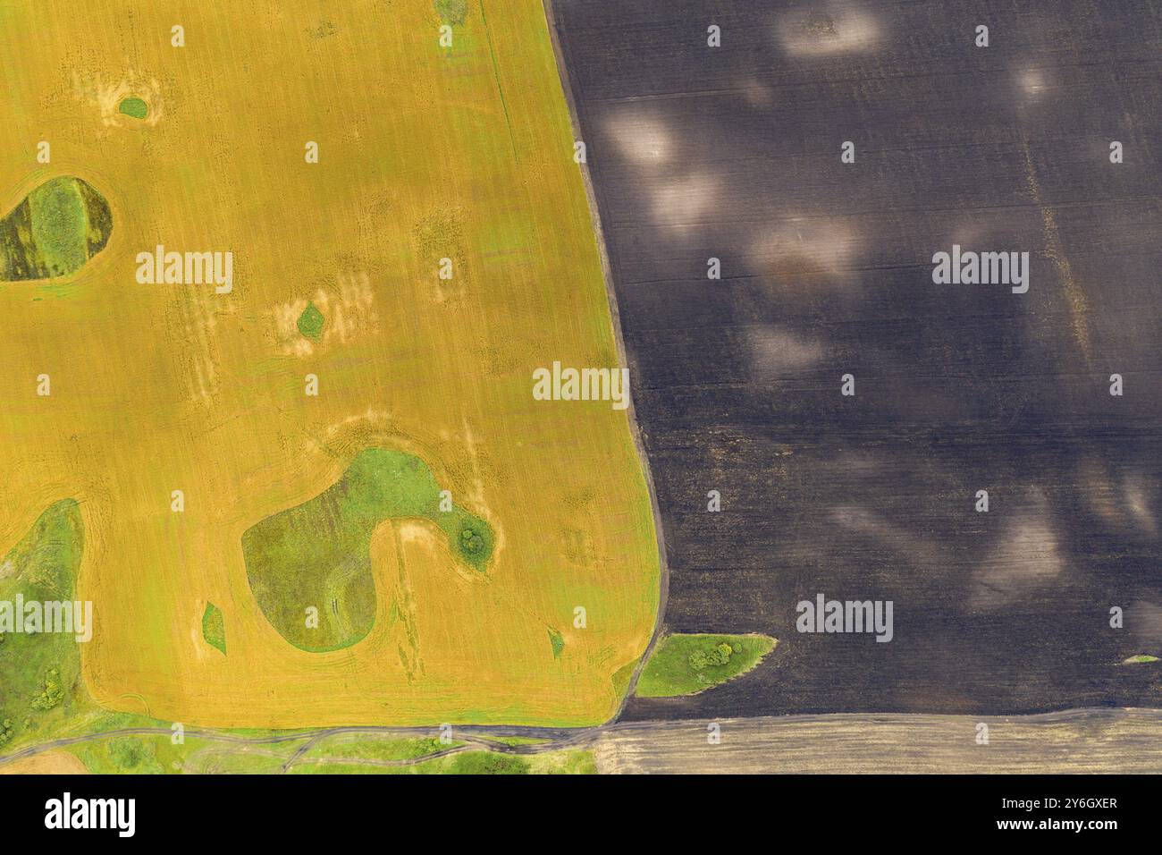 Aerial top view drone photography of a land with sown green fields in ...