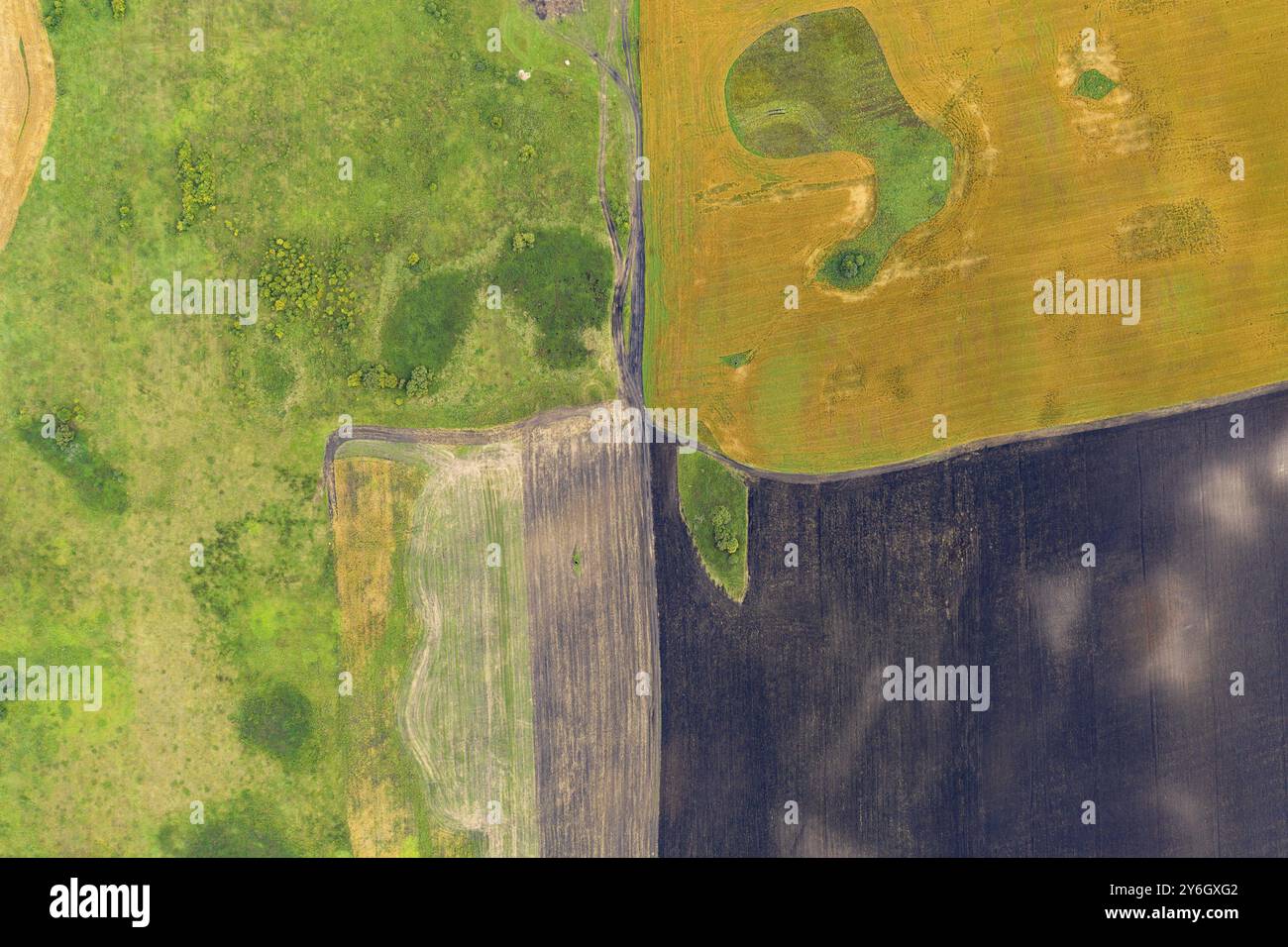 Aerial top view drone photography of a land with sown green fields in ...
