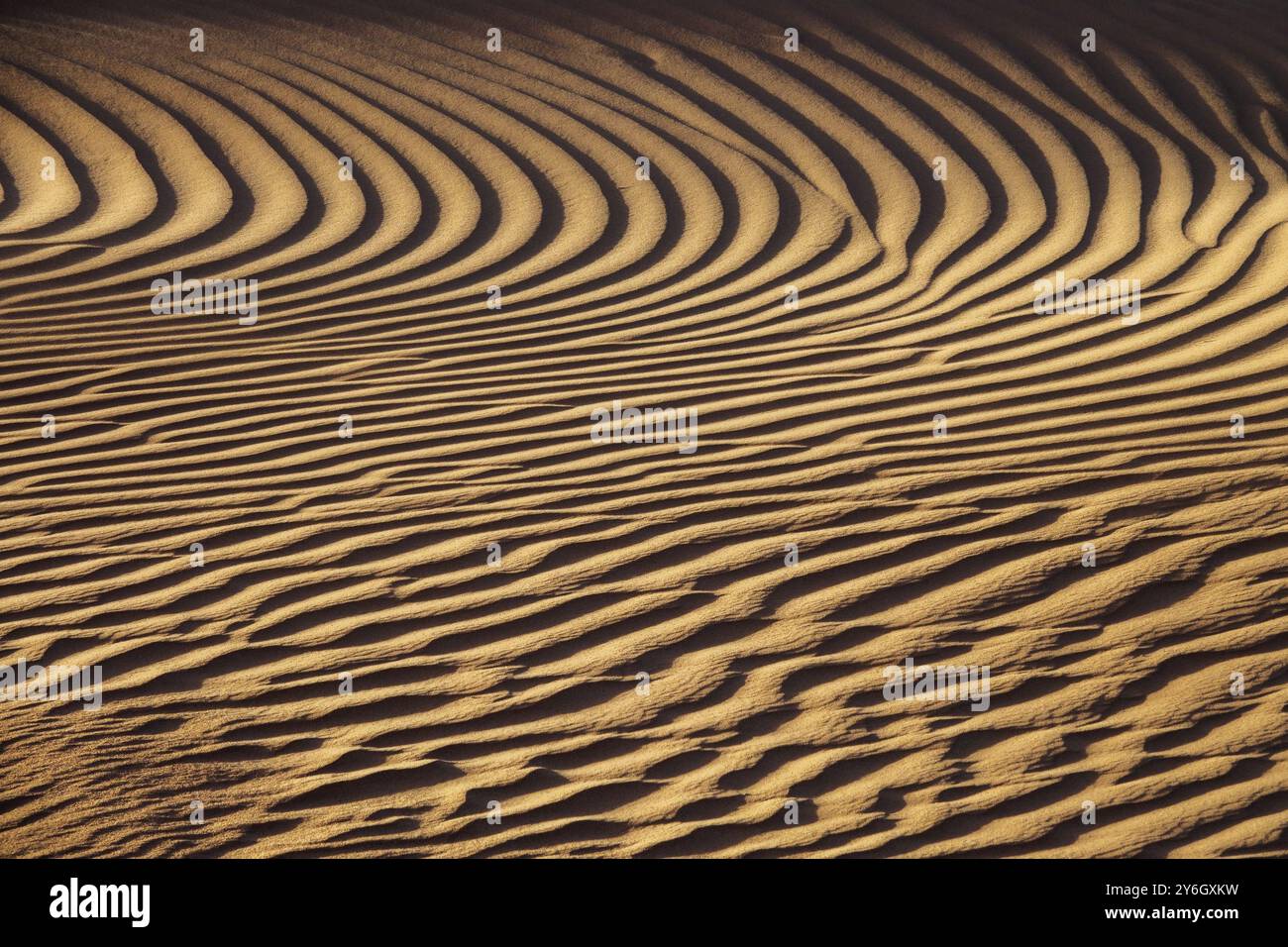 Beautiful sand dune pattern background in wind, Sahara desert Stock ...