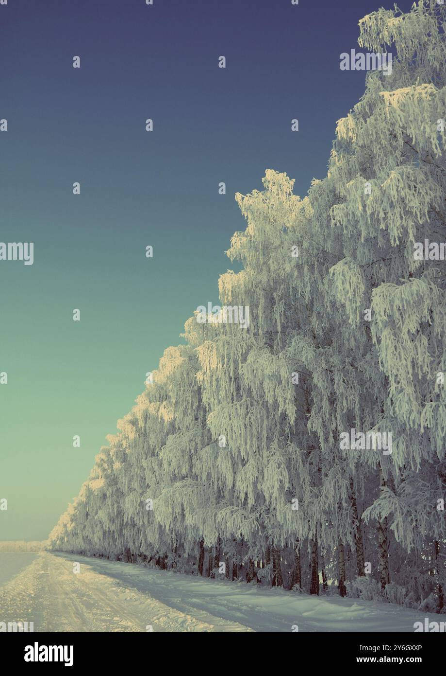 Vintage winter photography hi-res stock photography and images - Alamy