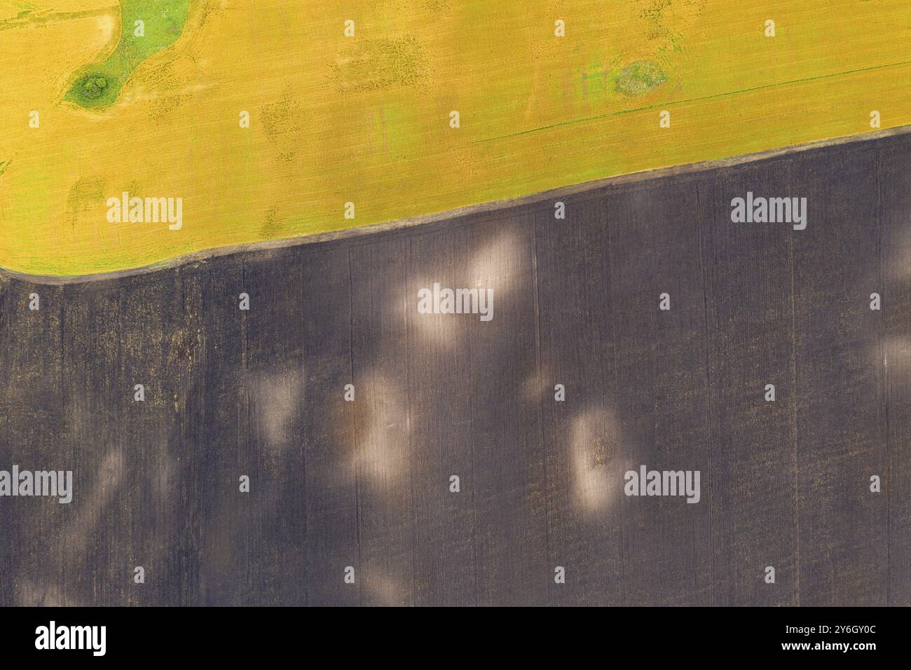 Aerial top view drone photography of a land with sown green fields in ...