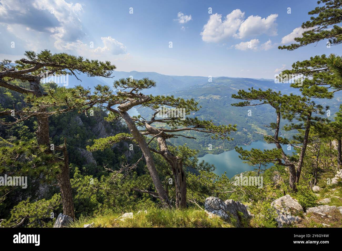 View from famous Banjska stena on Drina river in Tara National Park ...