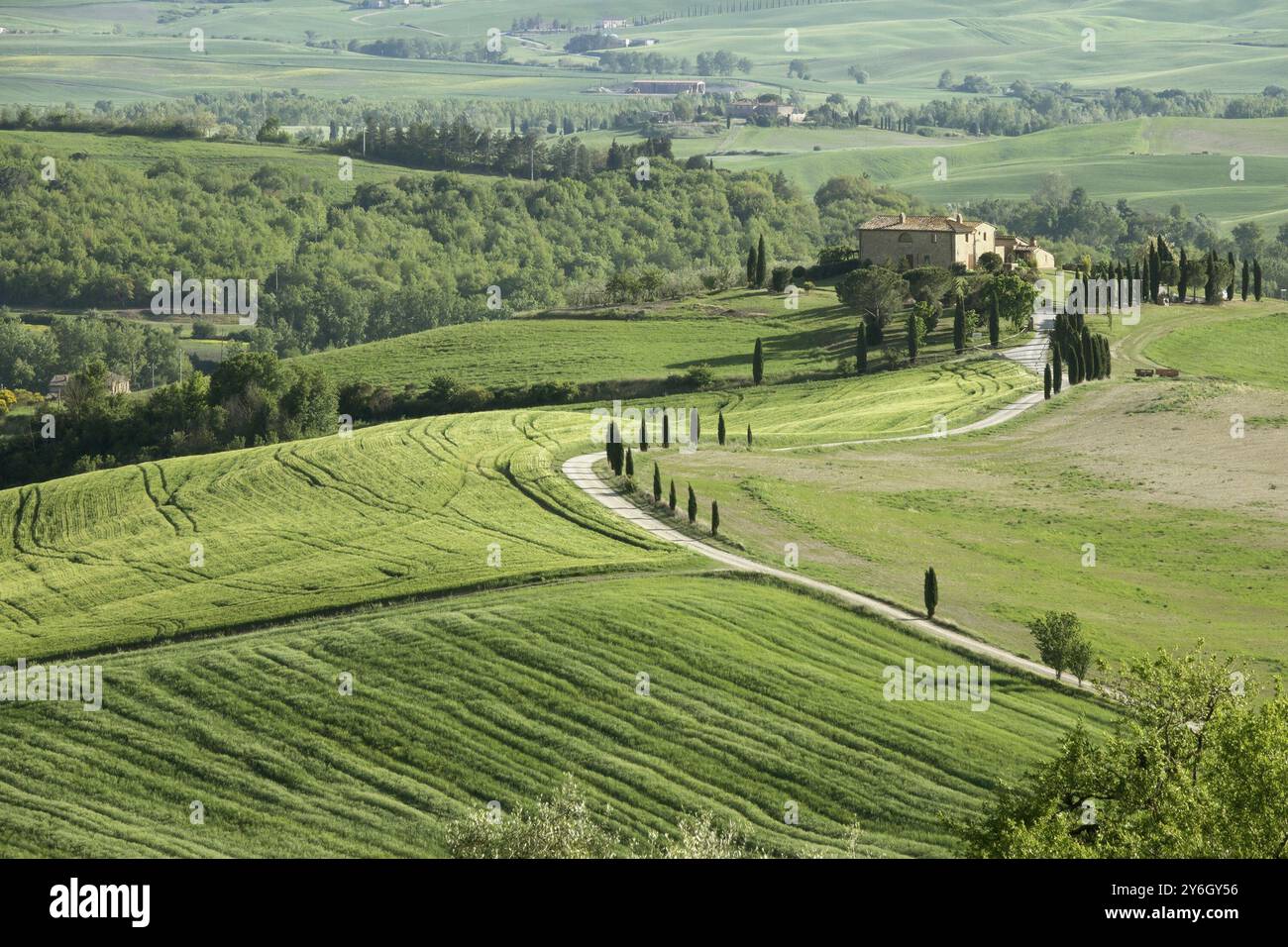 Tuscany background, farmland hill fields in Italy Stock Photo - Alamy