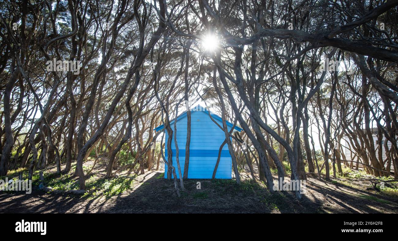 Sorrento beach box hi-res stock photography and images - Alamy