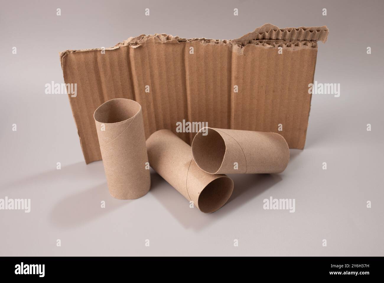 Crafting essentials, cardboard piece and recycled empty toilet paper ...
