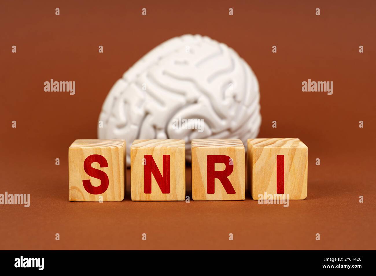 Wooden blocks display SNRI while a stylized brain sculpture highlights ...