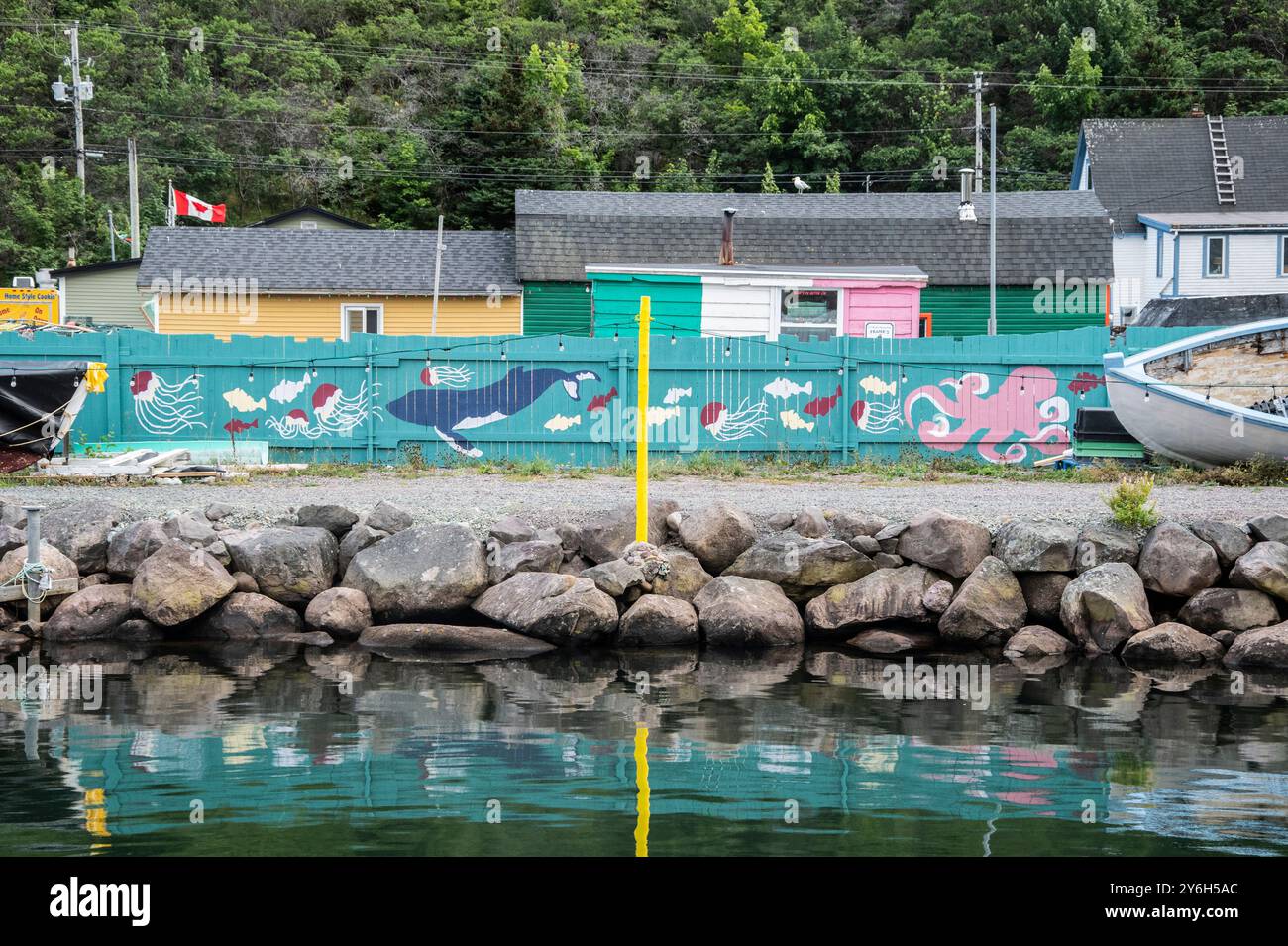 Mural marine life on a wooden fence in Petty Harbour-Maddox Cove ...