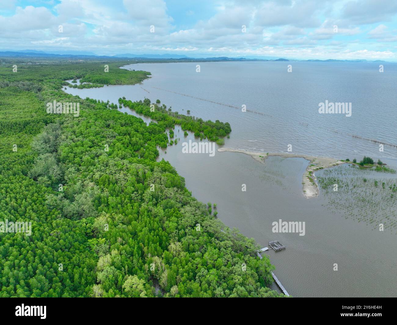 Long term carbon storage hi-res stock photography and images - Alamy