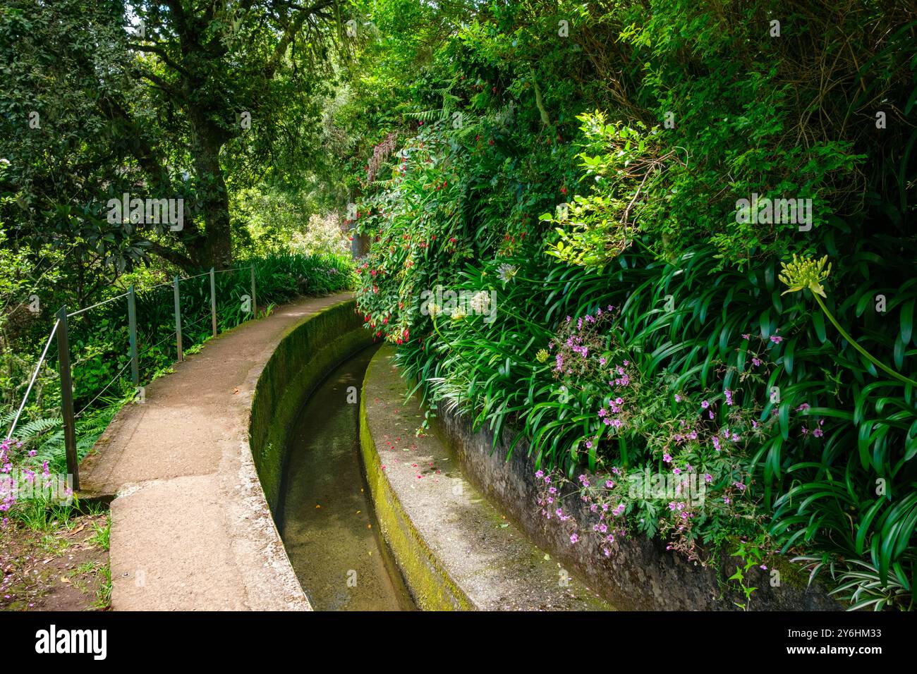 Pretty, colourful flowers and bushes line the winding walking route ...