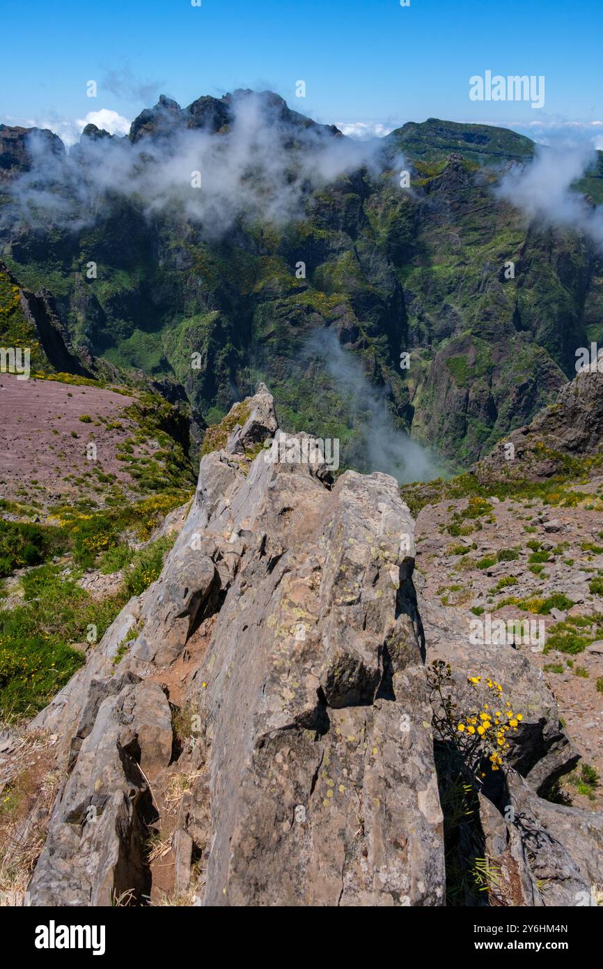 Jagged rocks, patches of green, wispy clouds and yellow flowers ...