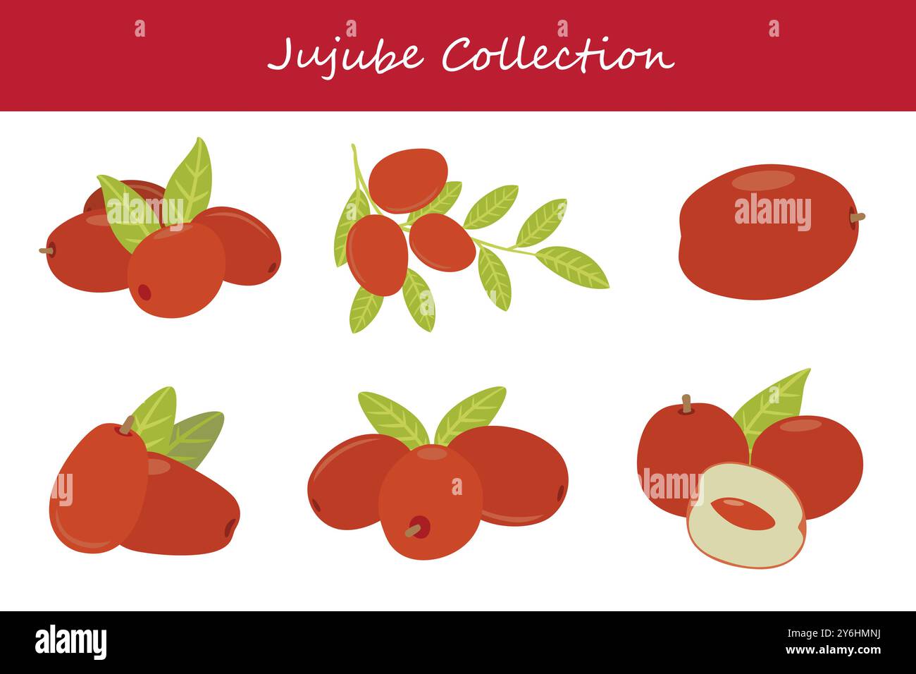 jujube collection in different poses. Vector illustration Stock Vector ...