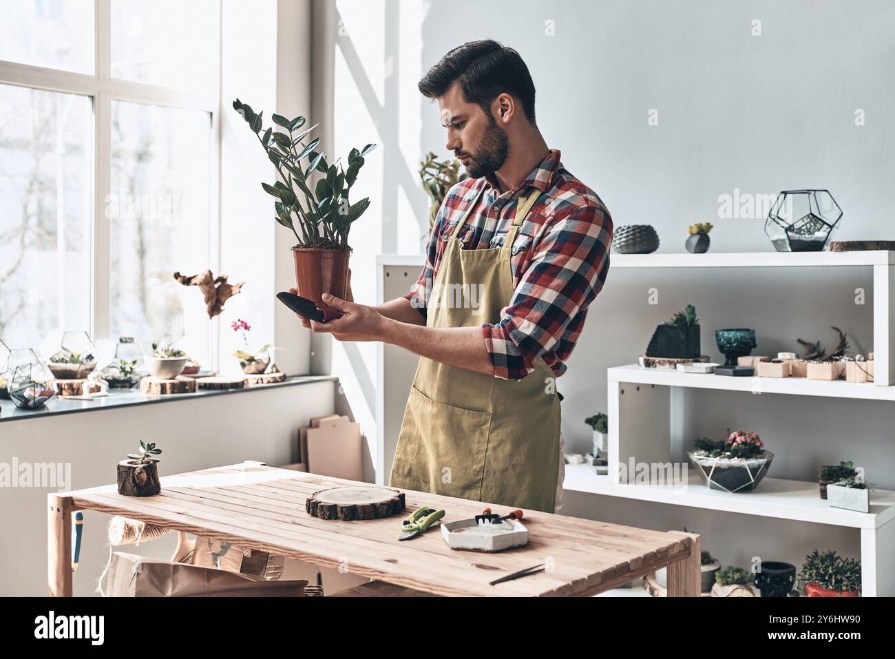 Small business owner. Handsome young man in apron holding potted plant ...