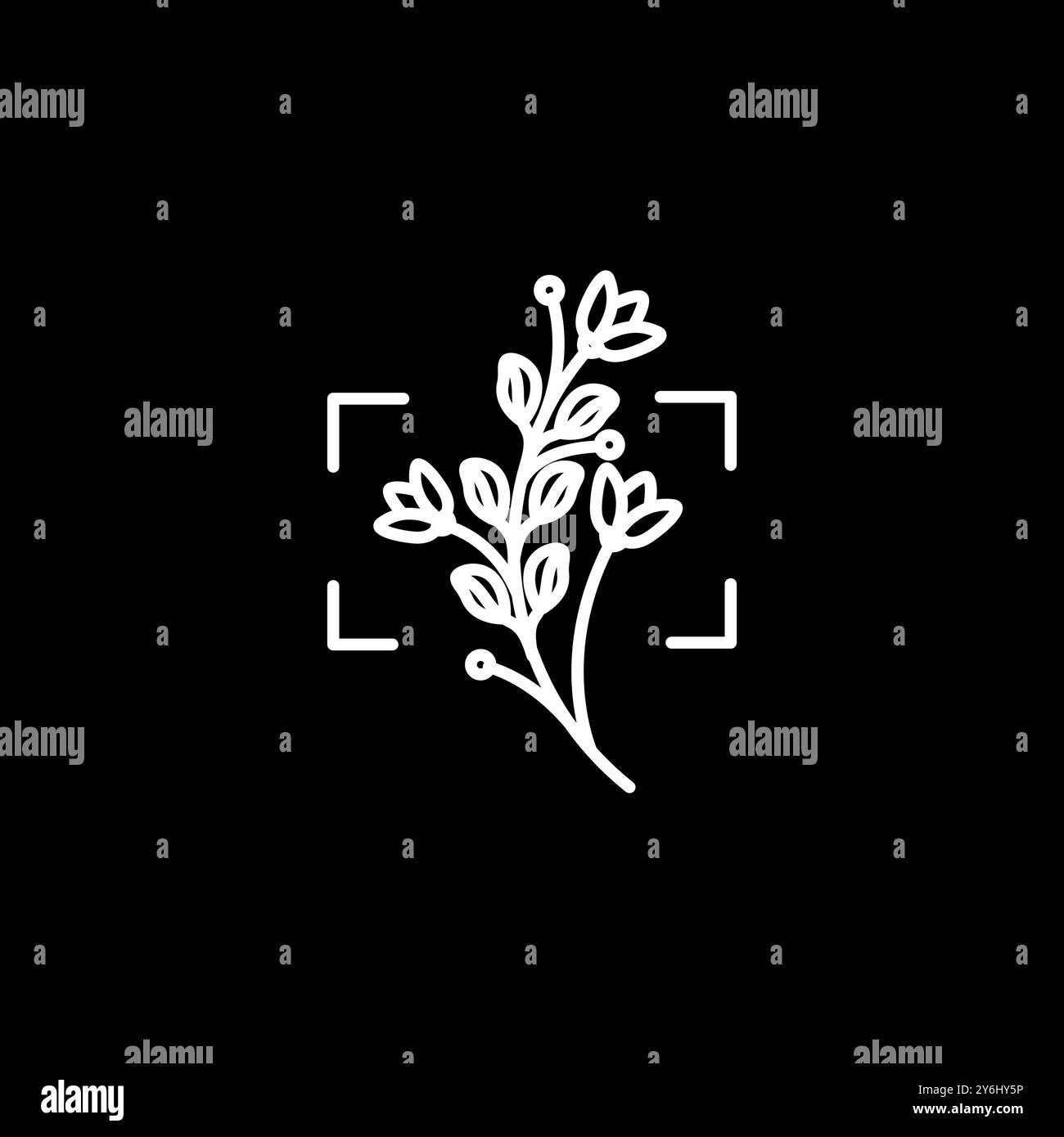 botanical boho flower minimalist logo design vector Stock Vector Image ...