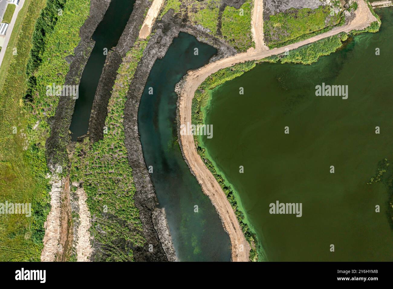 wetland with reclamation ditches. swampy area background. aerial drone ...