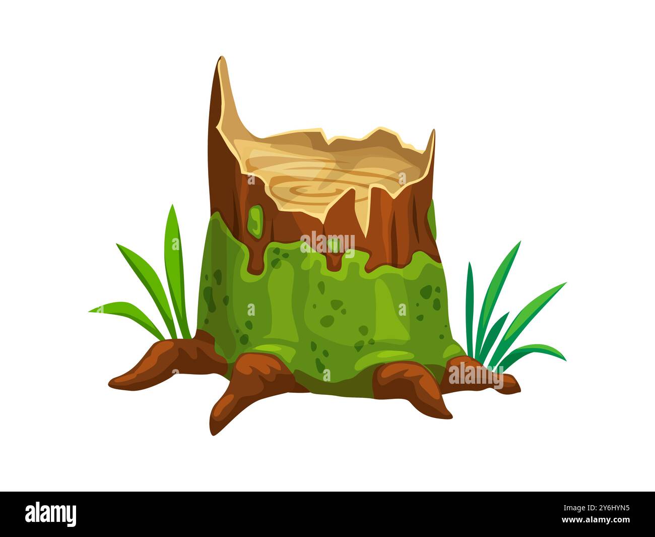 Tree stump with green moss and surrounding plants, natural and wild ...