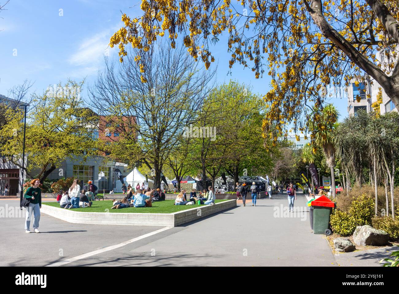 Nz ilam hi-res stock photography and images - Alamy