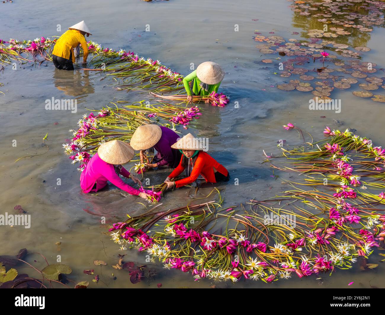 Long An province, Vietnam - 14 Apr 2024: view of rural women in Moc Hoa ...