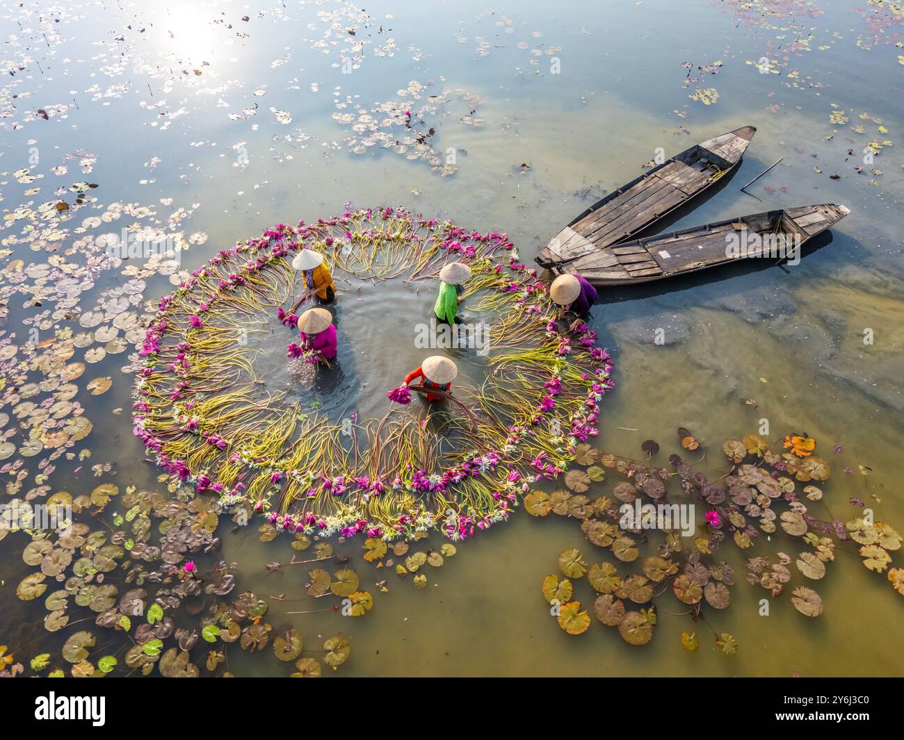 Aerial view of rural women in Moc Hoa district, Long An province ...