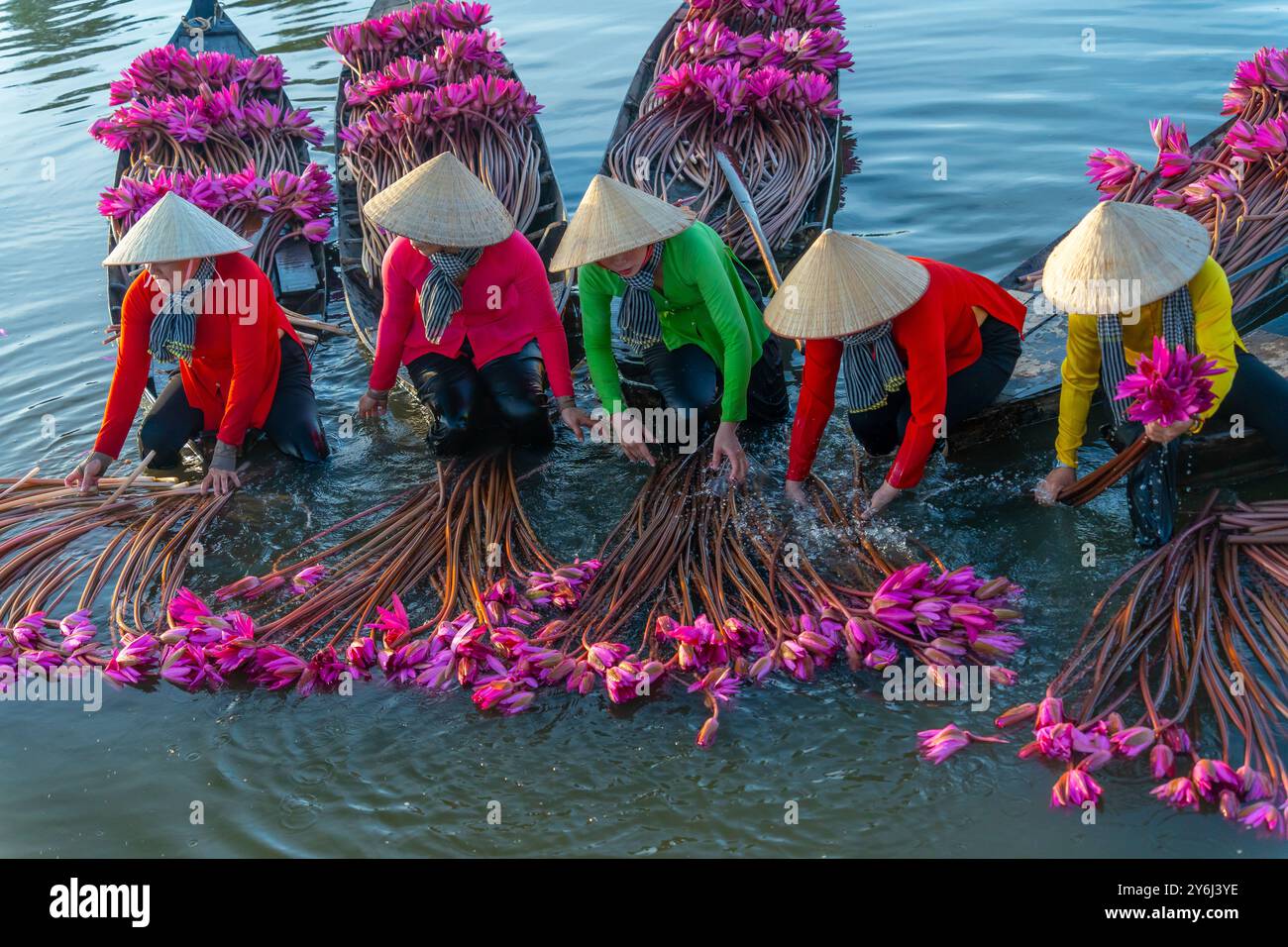 Long An province, Vietnam - 22 Aug 2024: view of rural women in Moc Hoa ...