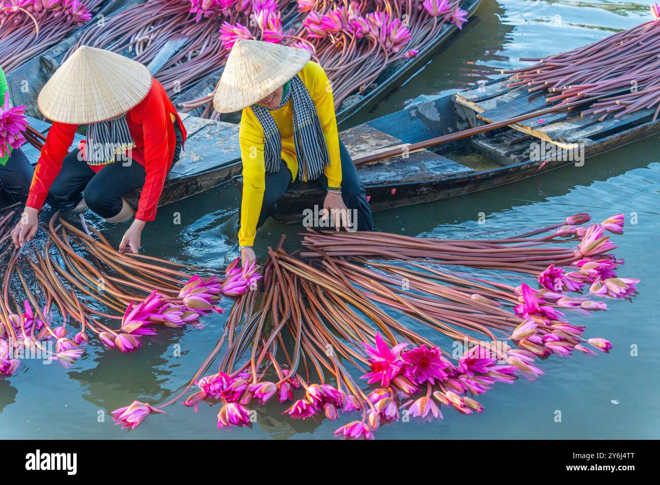 view of rural women in Moc Hoa district, Long An province, Mekong Delta ...