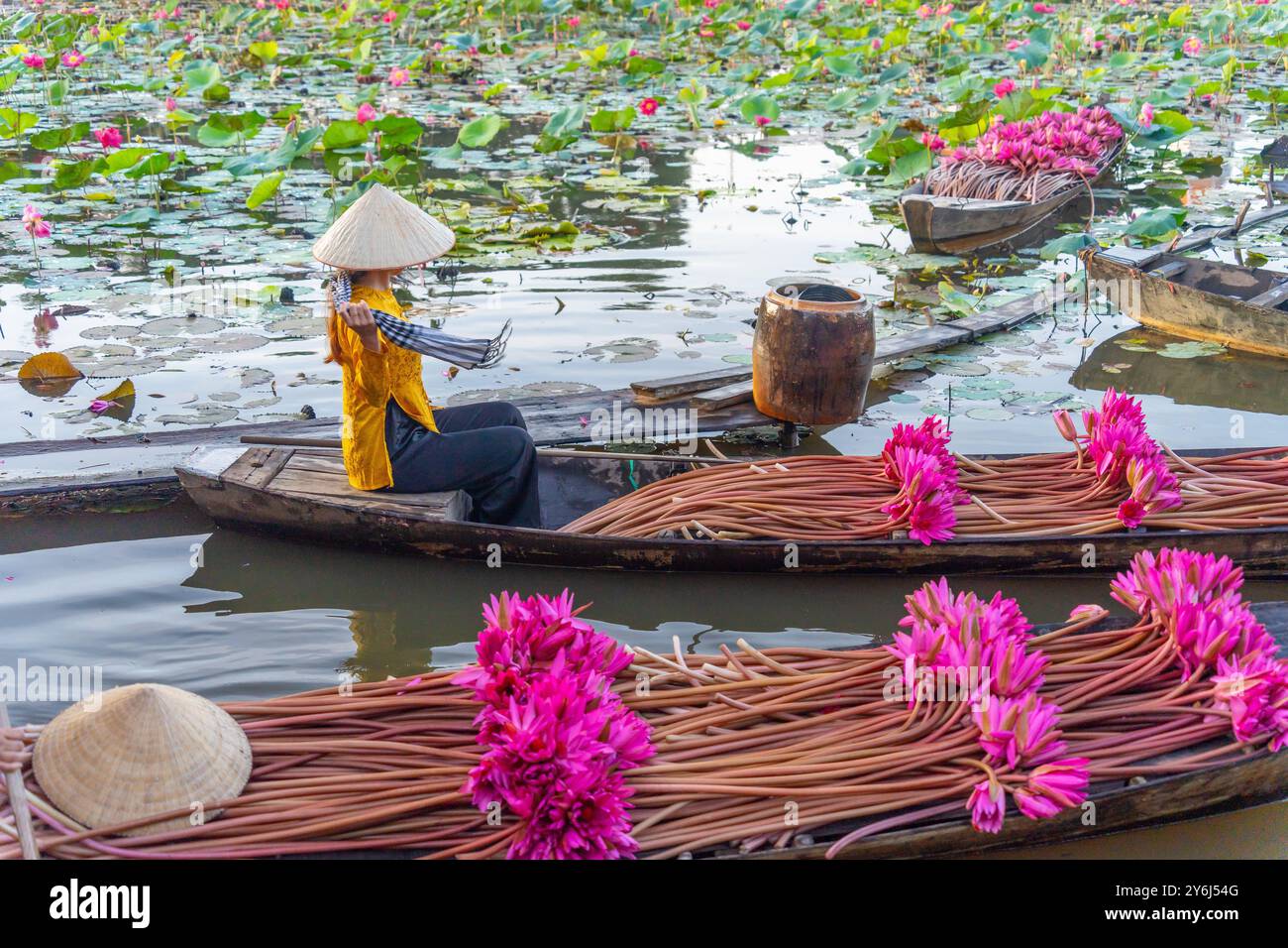 view of rural Vietnamese girl in Moc Hoa district, Long An province ...