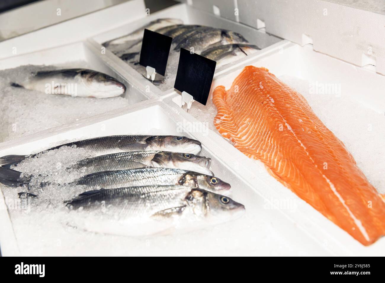 Fresh, chilled fish and salmon fillet, displayed on ice at seafood ...