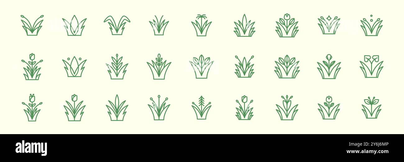 kind of plant flowers gardening botanical agriculture line style ...