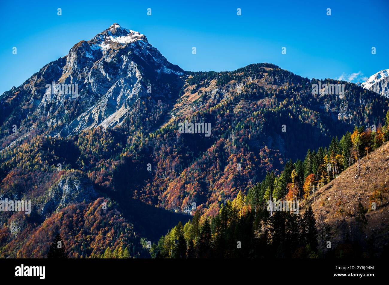 Autumn in Val Degano. Forni Avoltri. Explosion of colors in the Piave ...