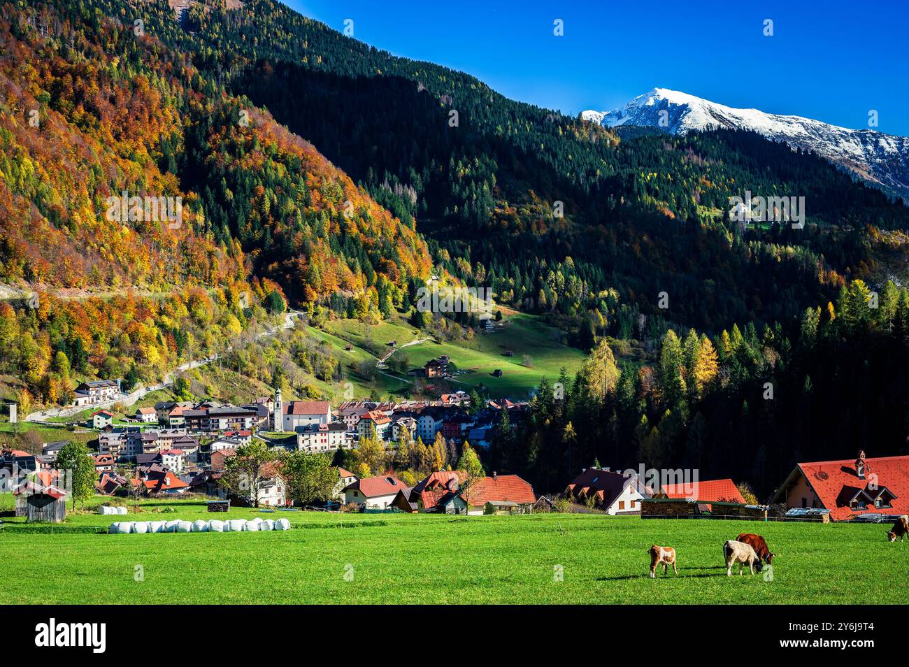 Autumn in Val Degano. Forni Avoltri. Explosion of colors in the Piave ...