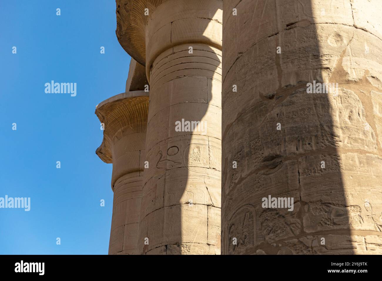 Discover the enchanting forest of papyriform columns that grace the ...