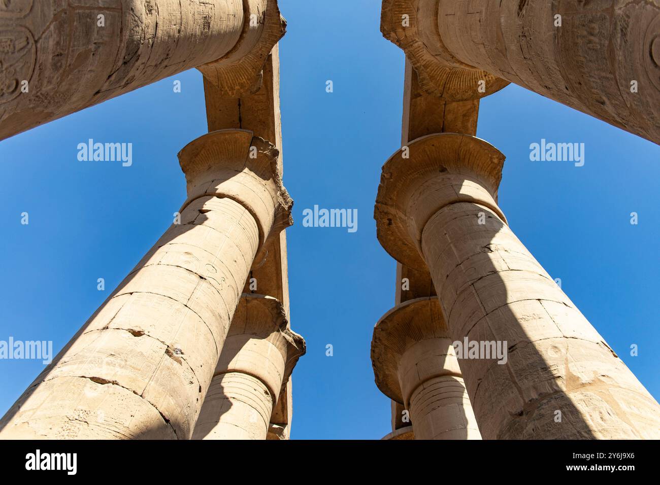 The enigmatic forest of papyrus-shaped columns that stands in the ...