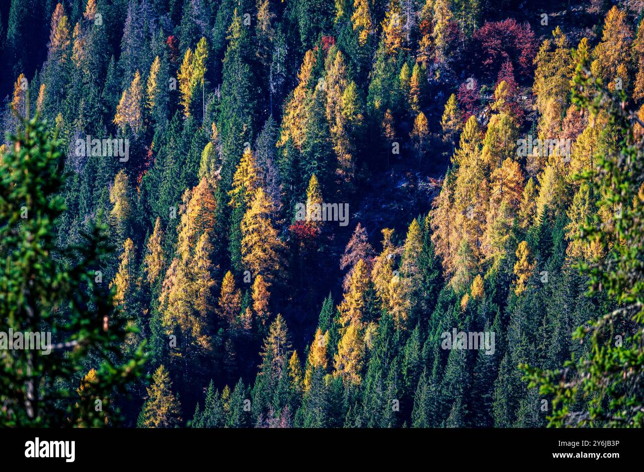 Autumn in Val Degano. Forni Avoltri. Explosion of colors in the Piave ...