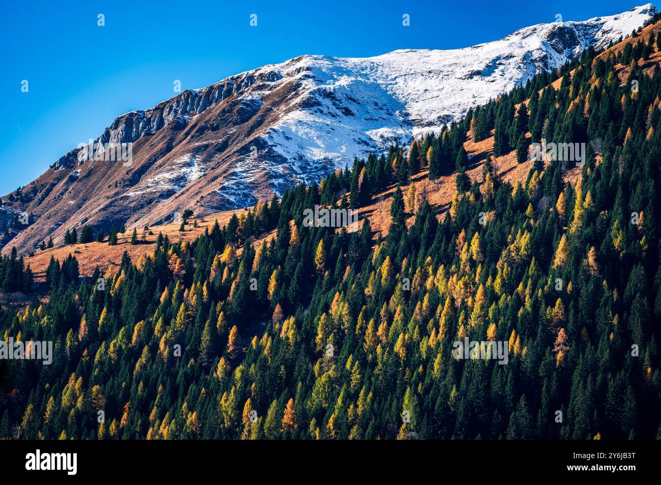 Autumn in Val Degano. Forni Avoltri. Explosion of colors in the Piave ...