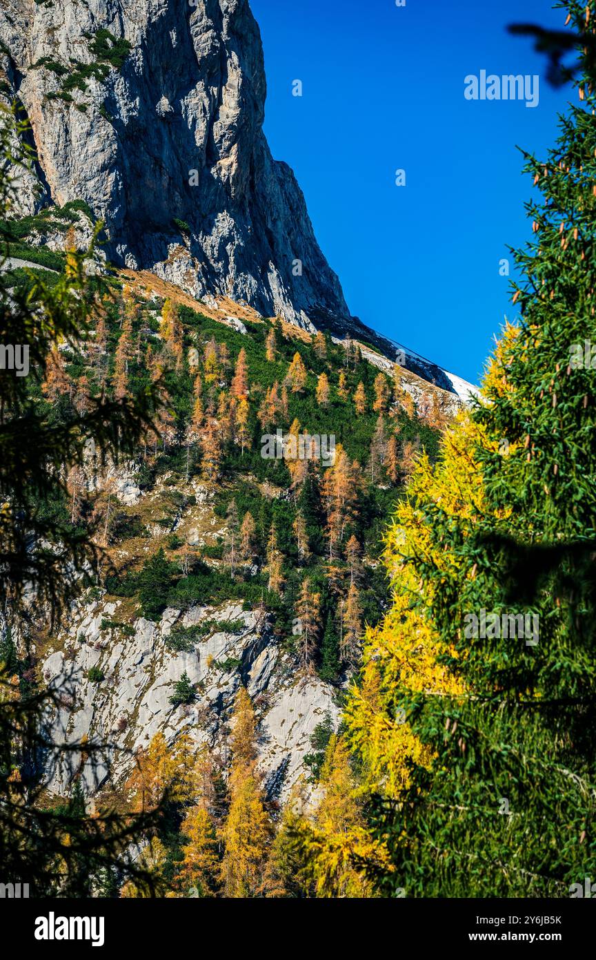 Autumn in Val Degano. Forni Avoltri. Explosion of colors in the Piave ...