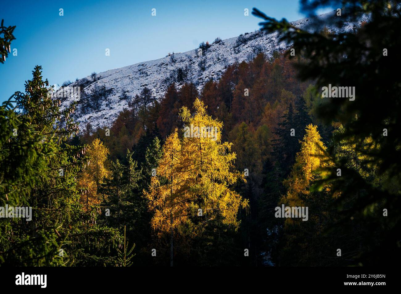 Autumn in Val Degano. Forni Avoltri. Explosion of colors in the Piave ...