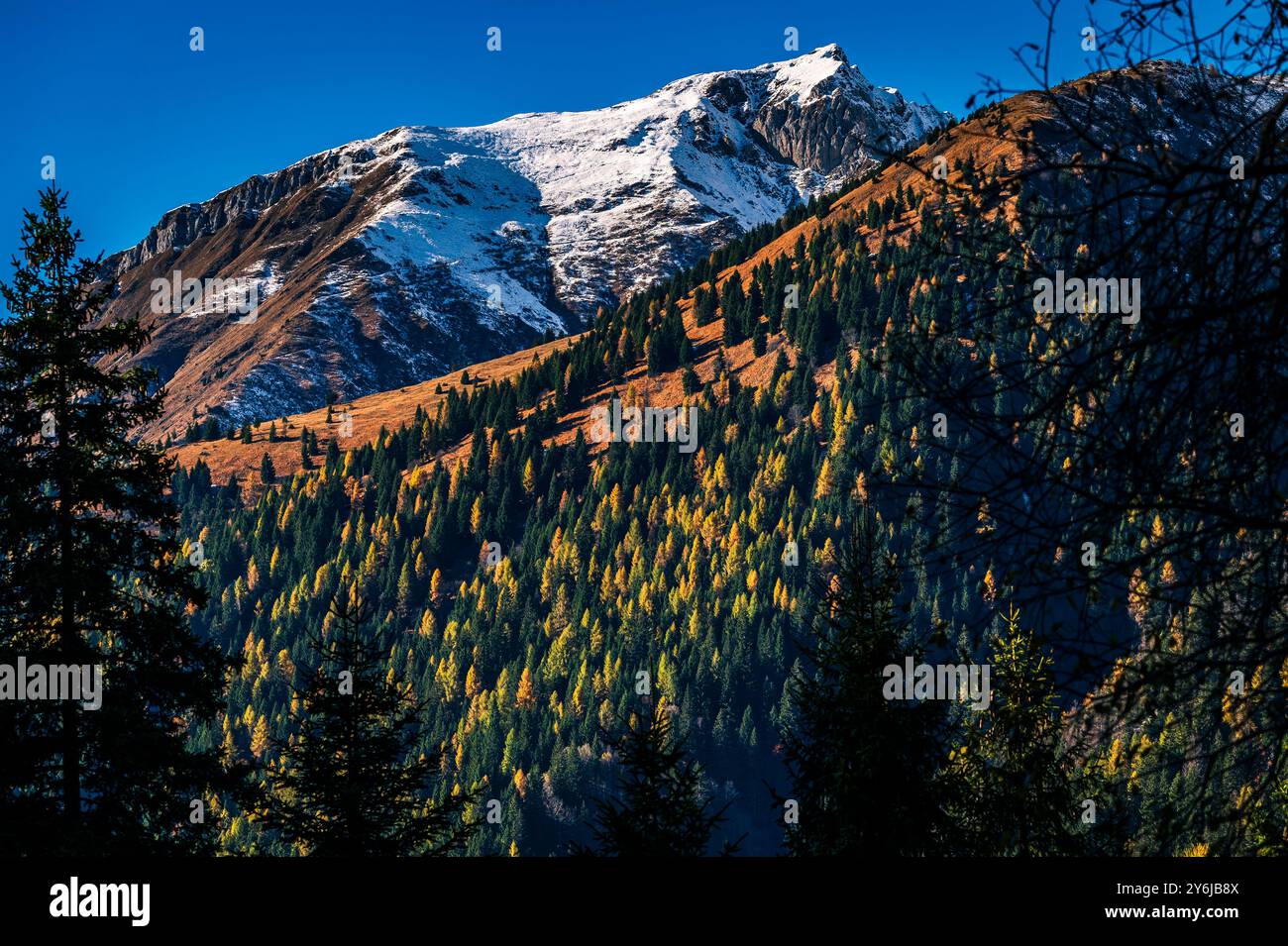 Autumn in Val Degano. Forni Avoltri. Explosion of colors in the Piave ...