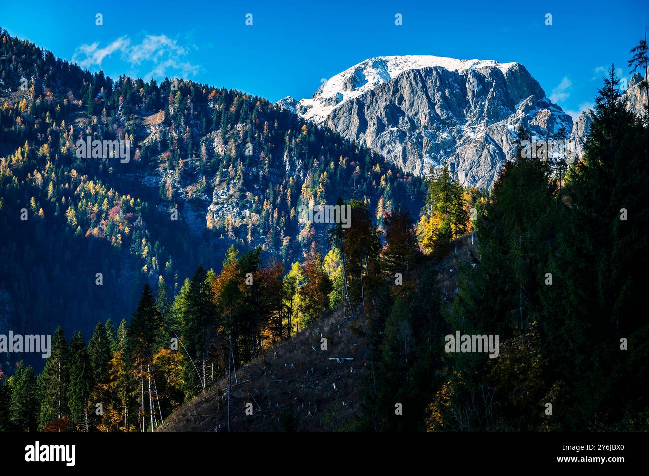 Autumn in Val Degano. Forni Avoltri. Explosion of colors in the Piave ...