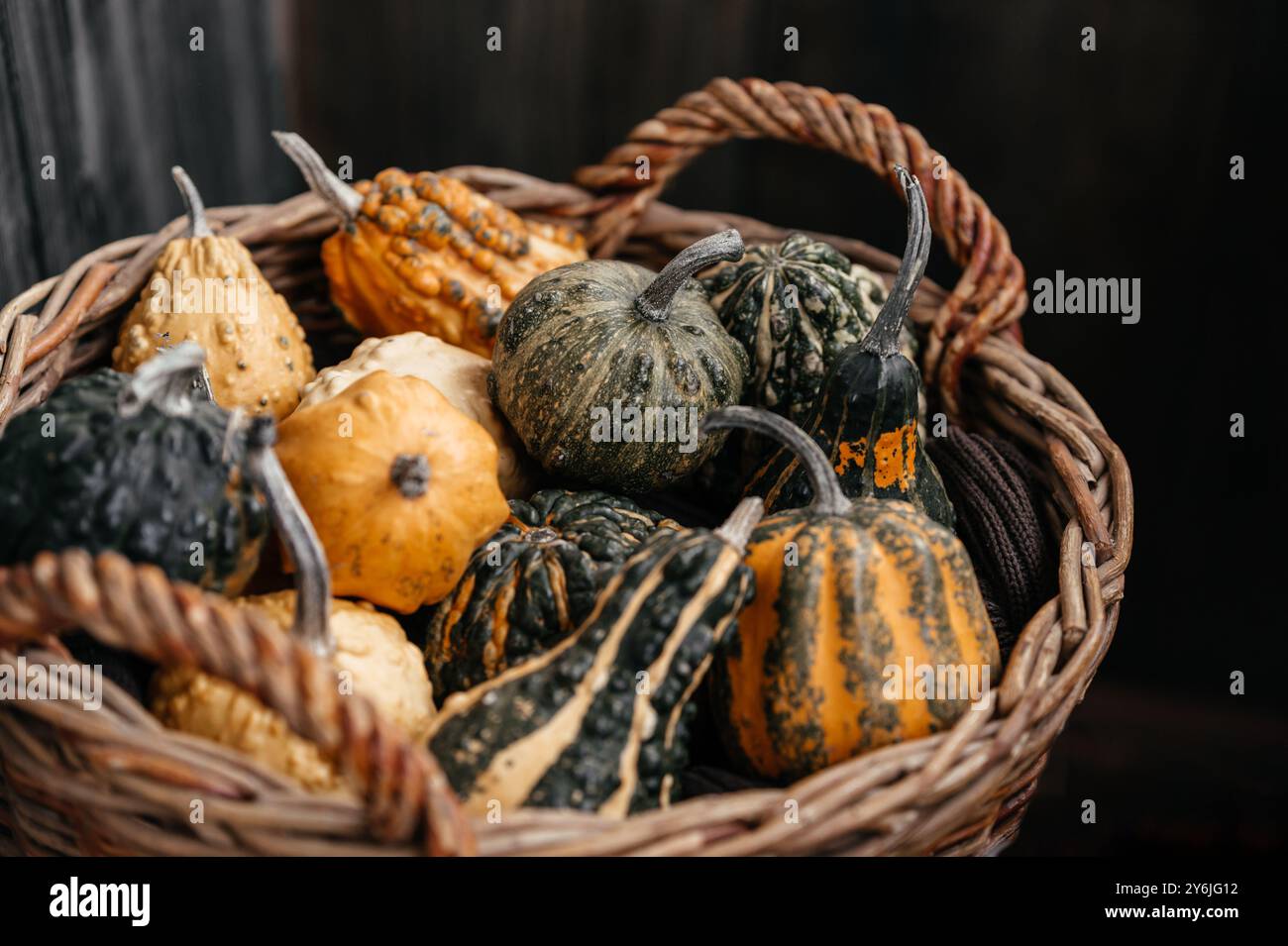 wicker basket filled with colorful decorative gourds, featuring vibrant ...