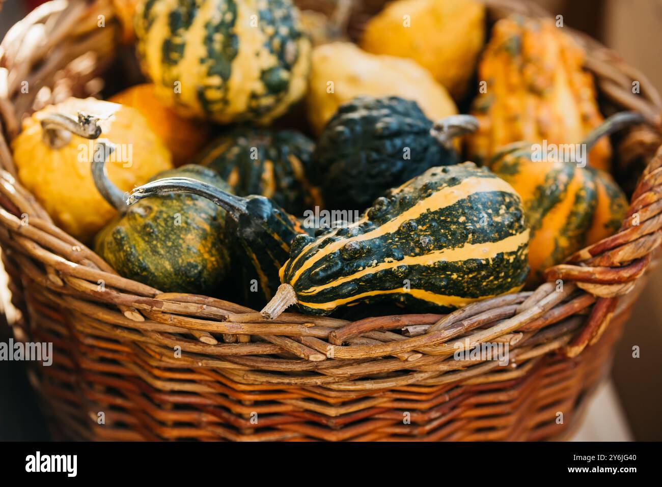 wicker basket filled with colorful decorative gourds, featuring vibrant ...