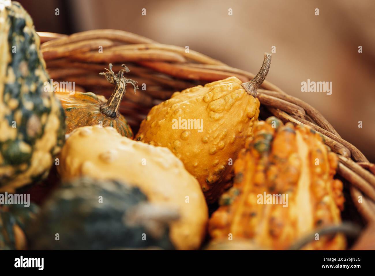 wicker basket filled with colorful decorative gourds, featuring vibrant ...