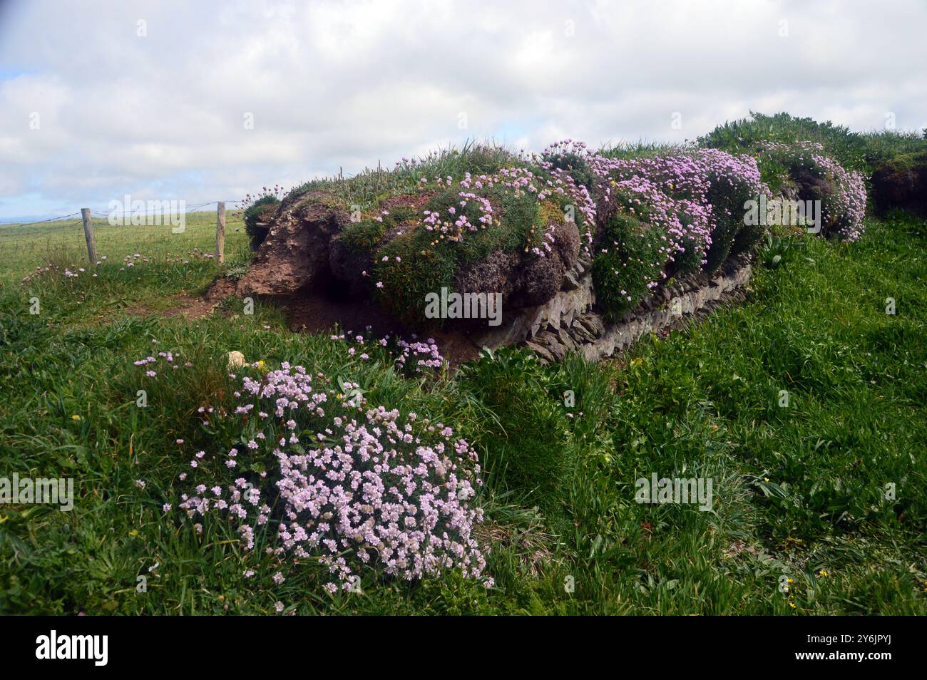 Herringbone stone wall sea hi-res stock photography and images - Alamy