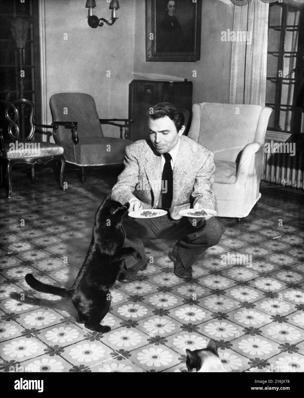 British film star , James Mason feeding his cat for a publicity picture ...