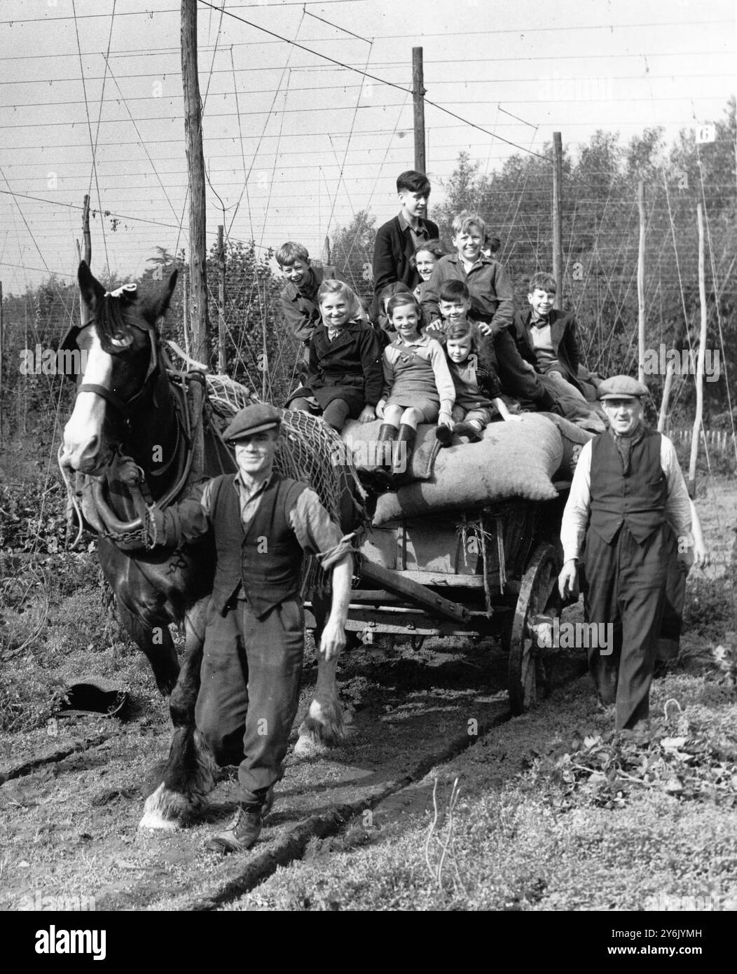 Hop Picking Beltring , Kent Children having great fun riding a cart ...