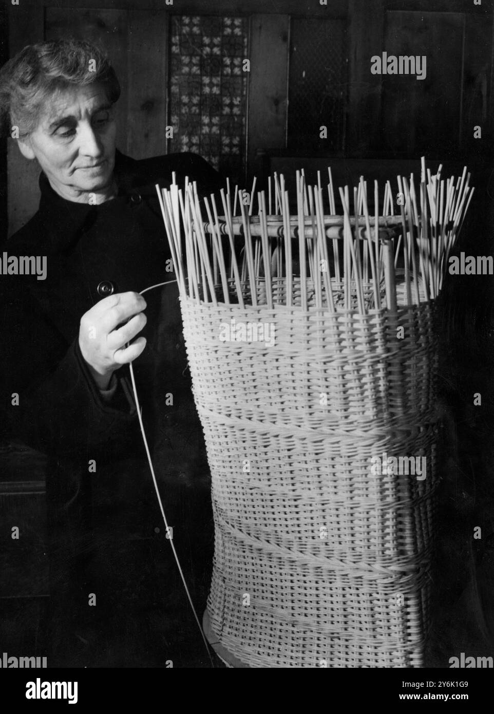 Womens Institute member weaving a basket in Birling Kent 1953 Stock ...