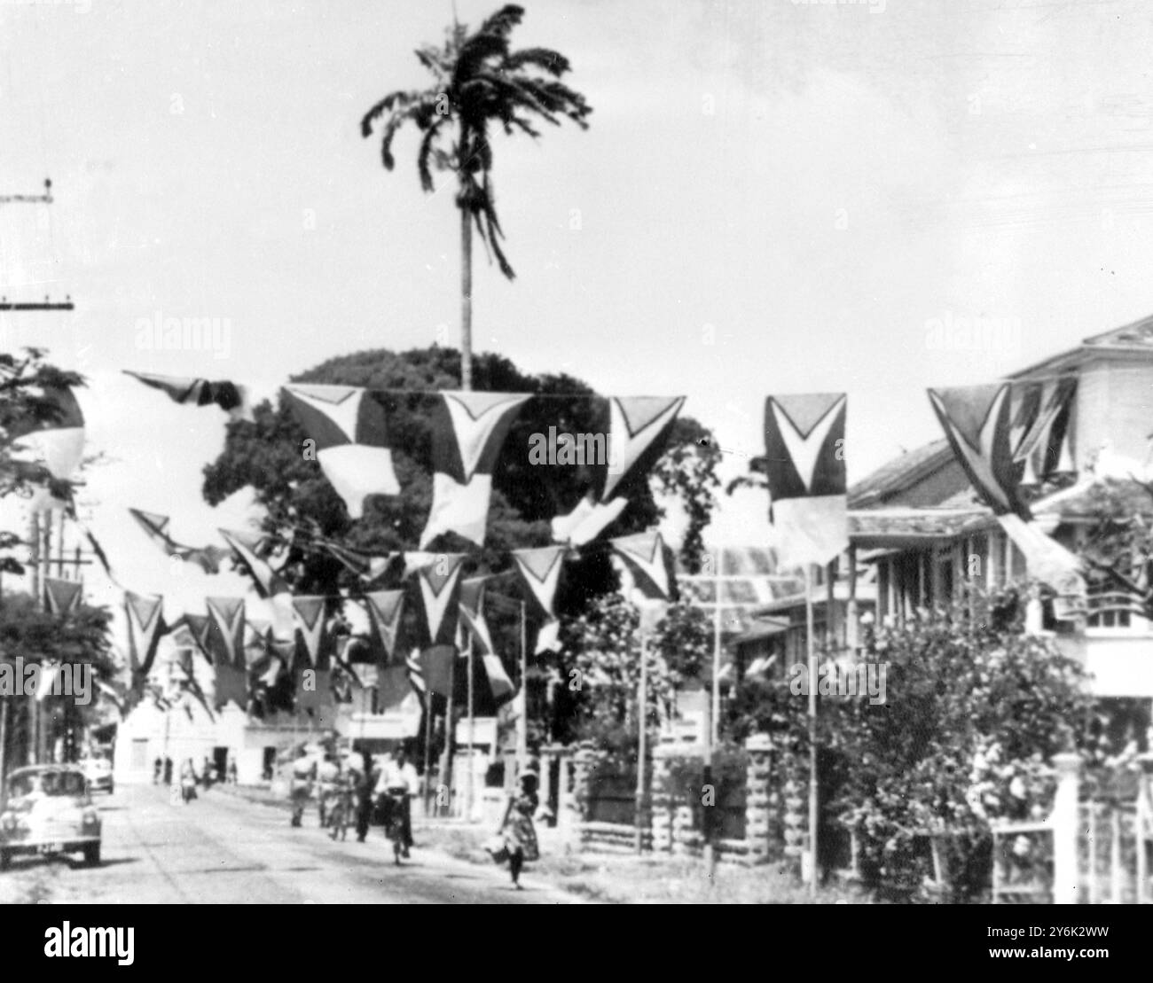 Guyana flags Black and White Stock Photos & Images - Alamy