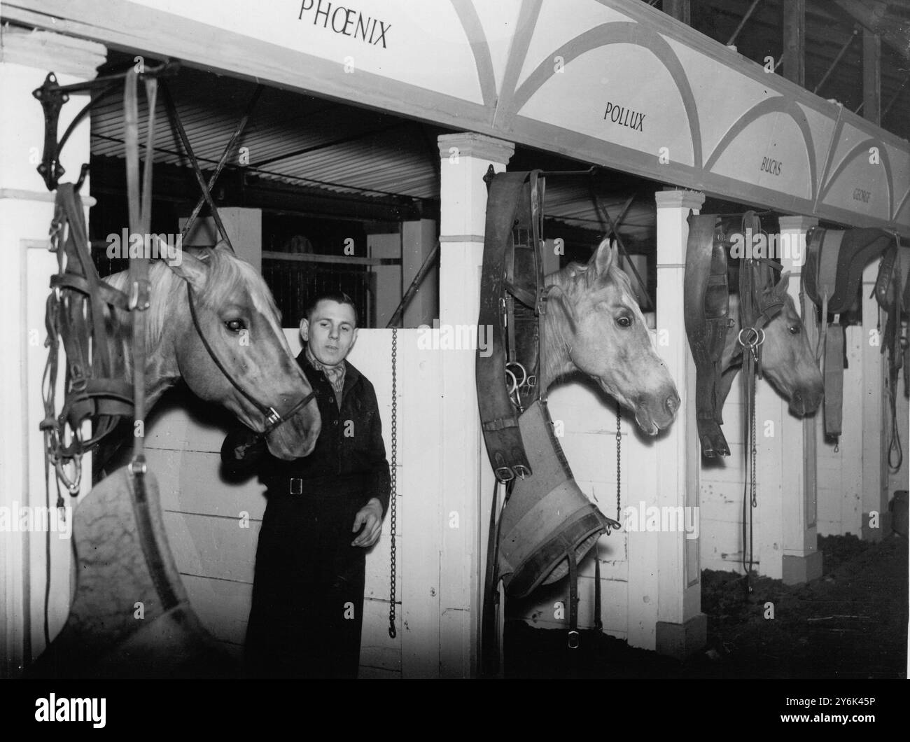Horses with their groomsman in their stables before a show at the ...