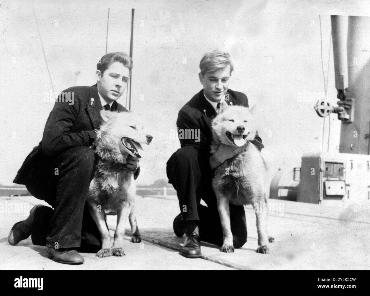 London England Huskies who helped Dr Vivian Fuchs to reach the South ...