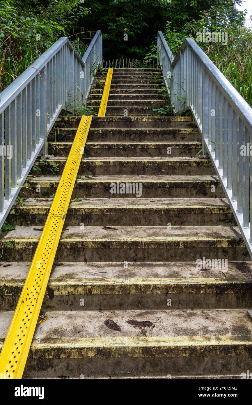 Steps with an integrated bicycle rail leading from Deepcut Bridge Road ...