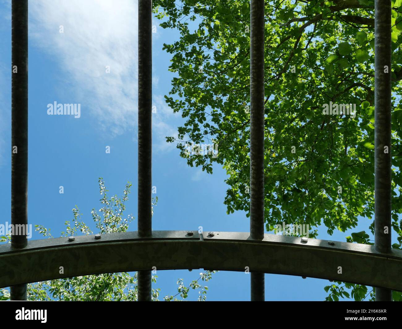 a rose trellis shaped like a gate. Roses climb up, providing shade and ...